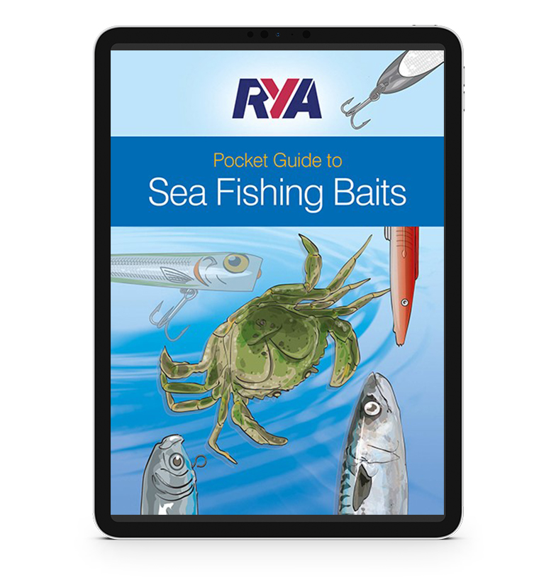 RYA Pocket Guide to Sea Fishing Baits (eBook) | Products